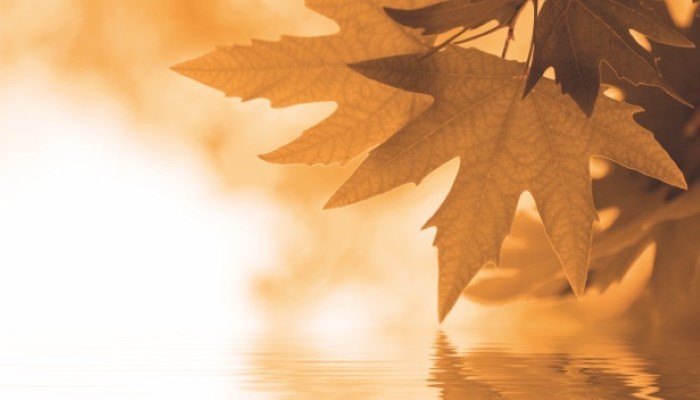 Prenez soin de vous en automne - Bébés et Mamans